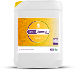 Intra Liposol